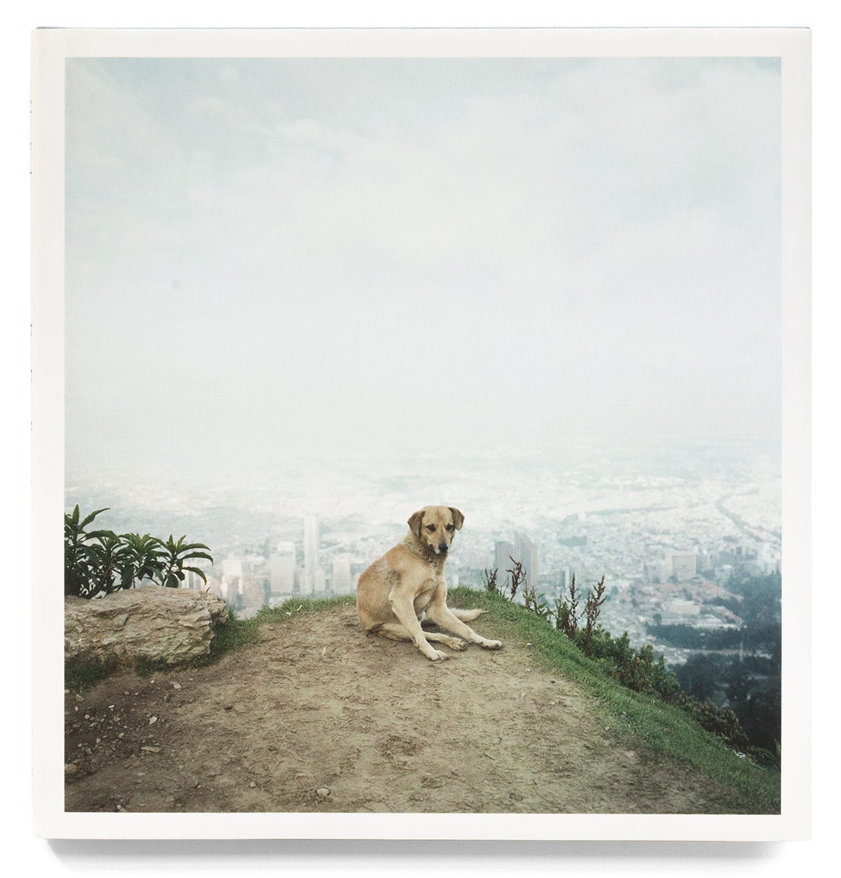 Alec Soth | Dog Days, Bogotá